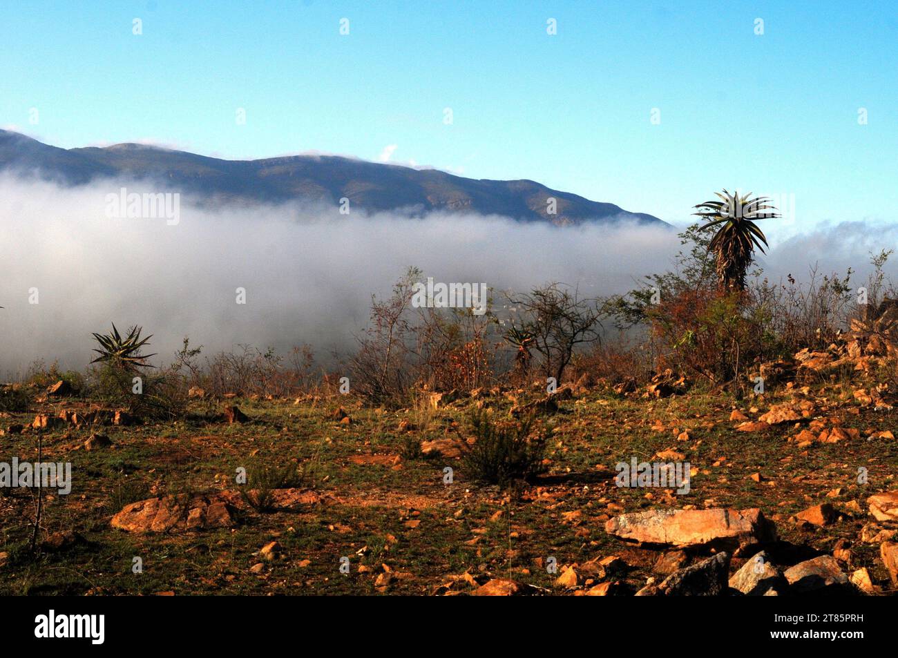 As the world battles climate change mist covers Maja village on the ...