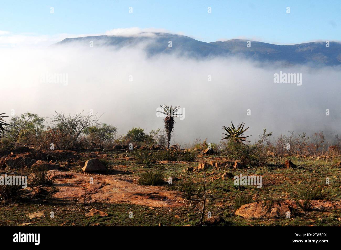 As the world battles climate change mist covers Maja village on the ...