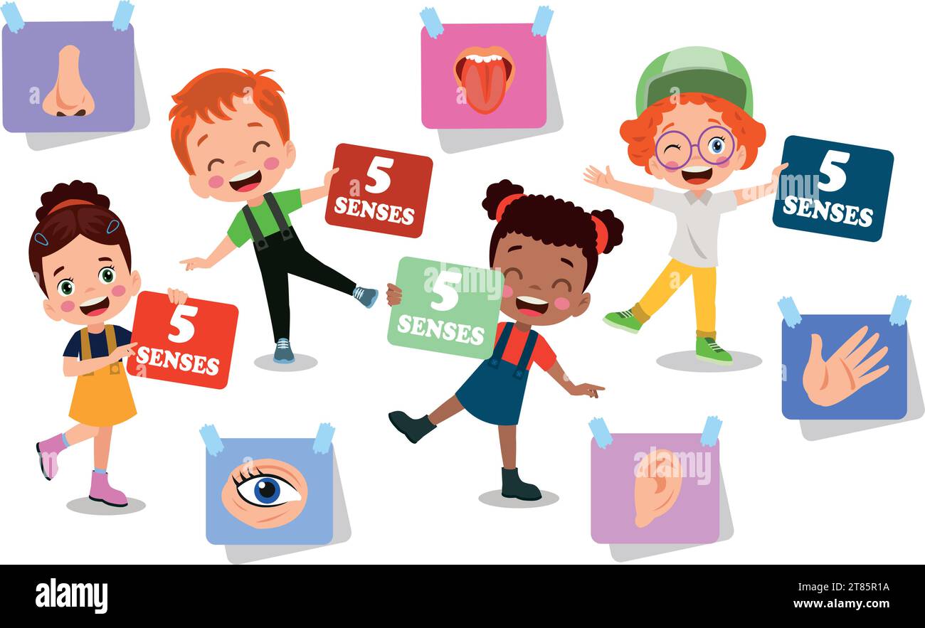 Five Senses Concept With Human Organs Stock Vector Image & Art - Alamy