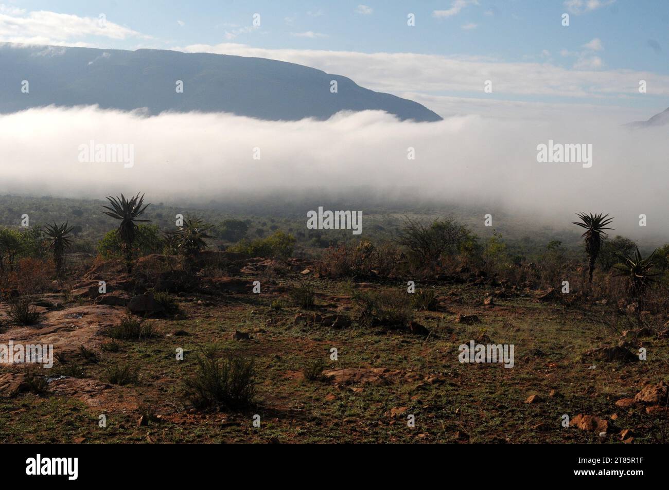 As the world battles climate change mist covers Maja village on the ...