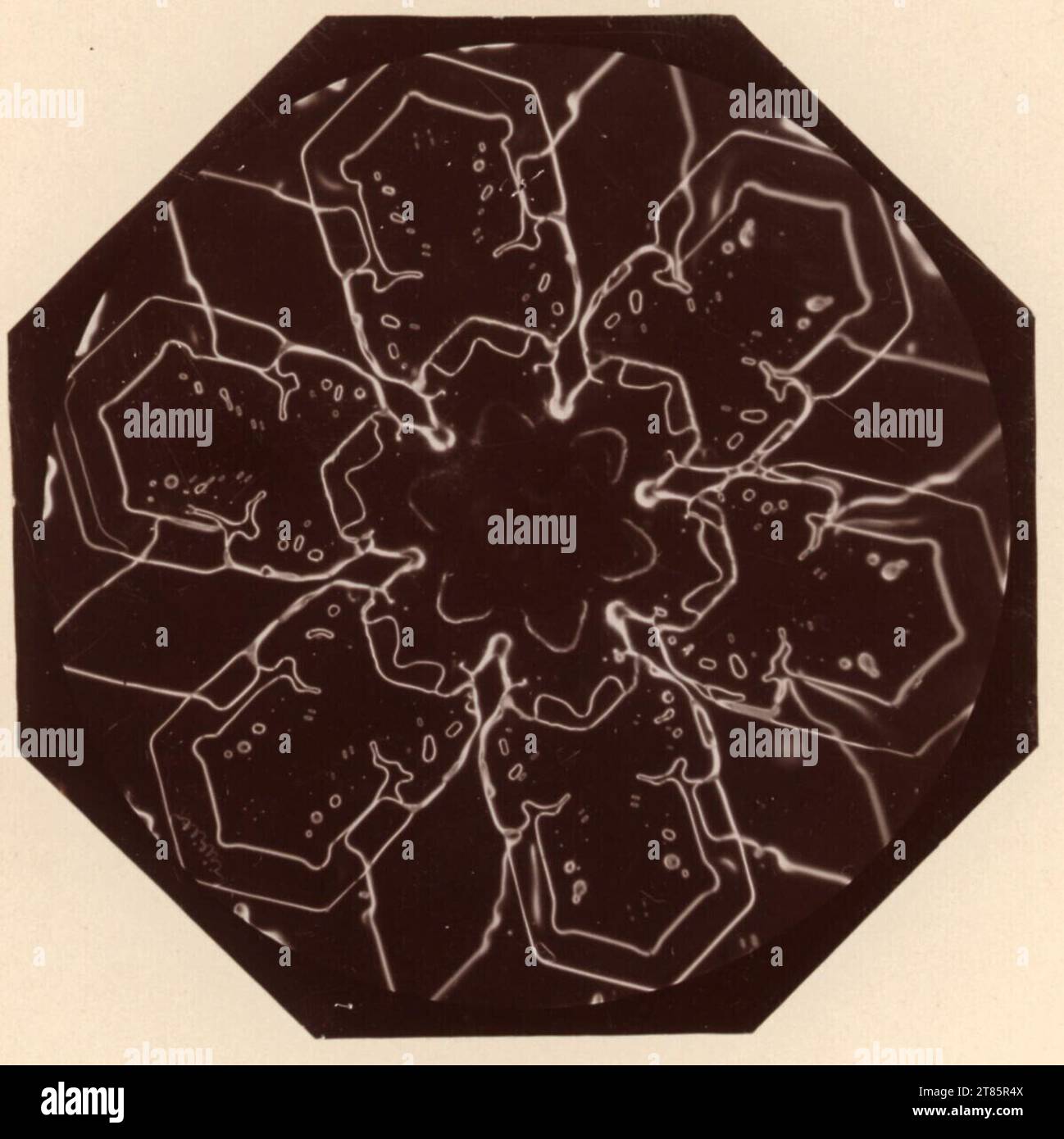 Nils Otto Gustav Nordenskjöld Snow crystals. Albumin paper, on the box ...