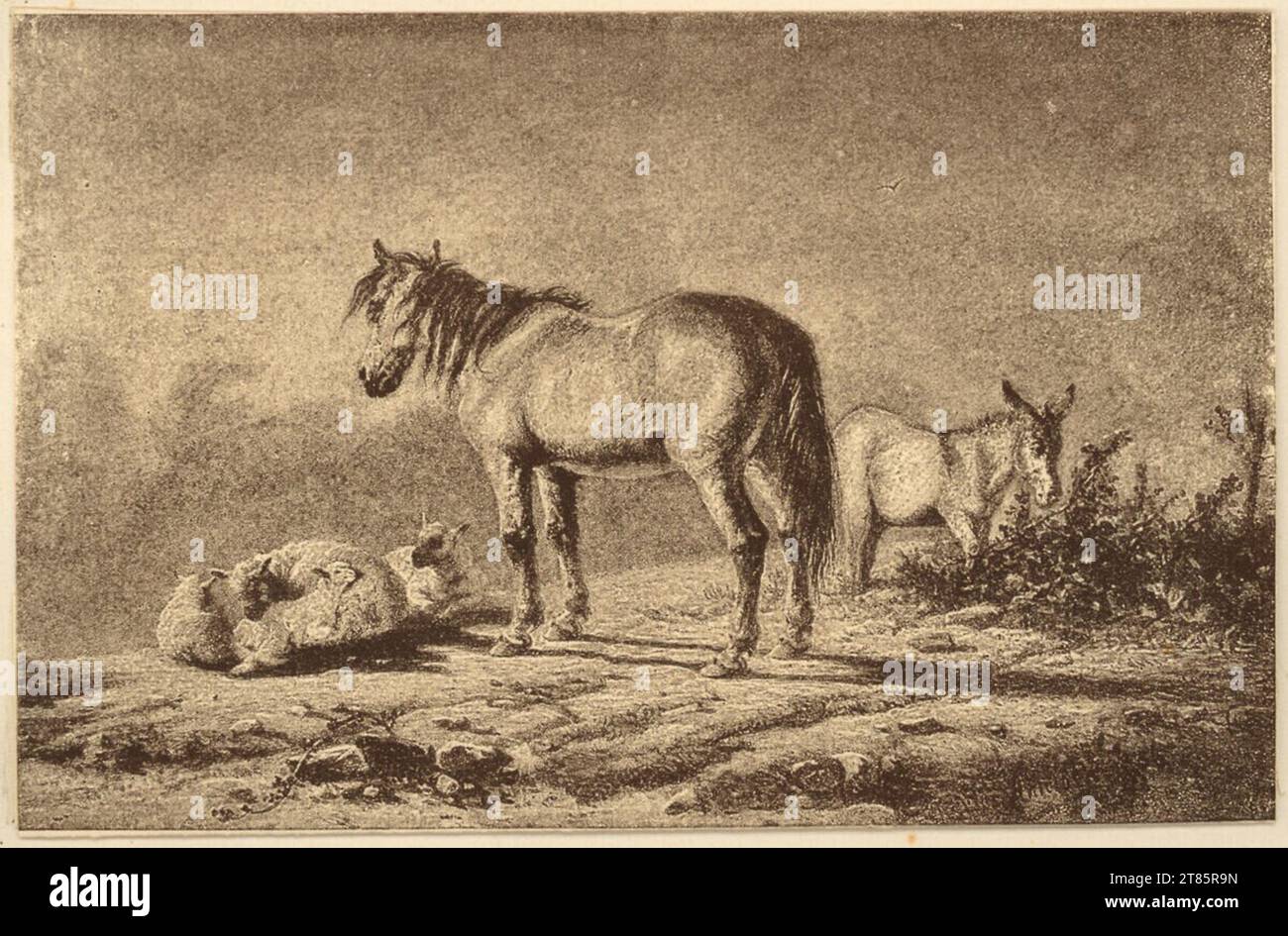 Paul Pretsch Landscape with horse, donkey and sheep after a ink drawing ...