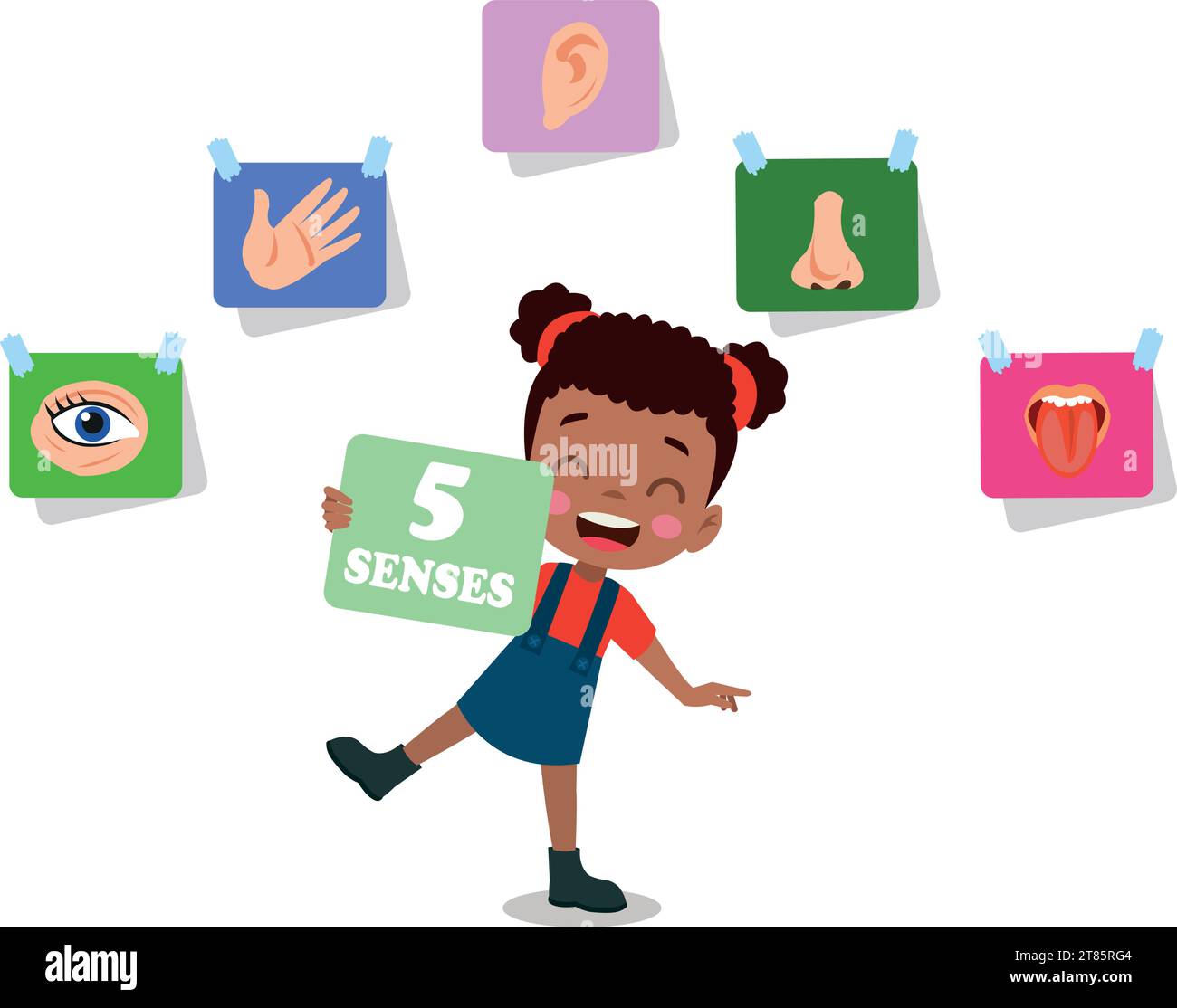 Five senses Cut Out Stock Images & Pictures - Alamy