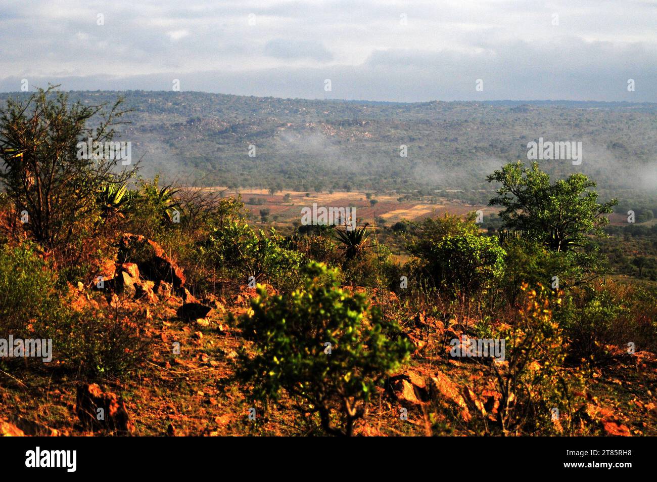 As the world battles climate change mist covers Maja village on the ...