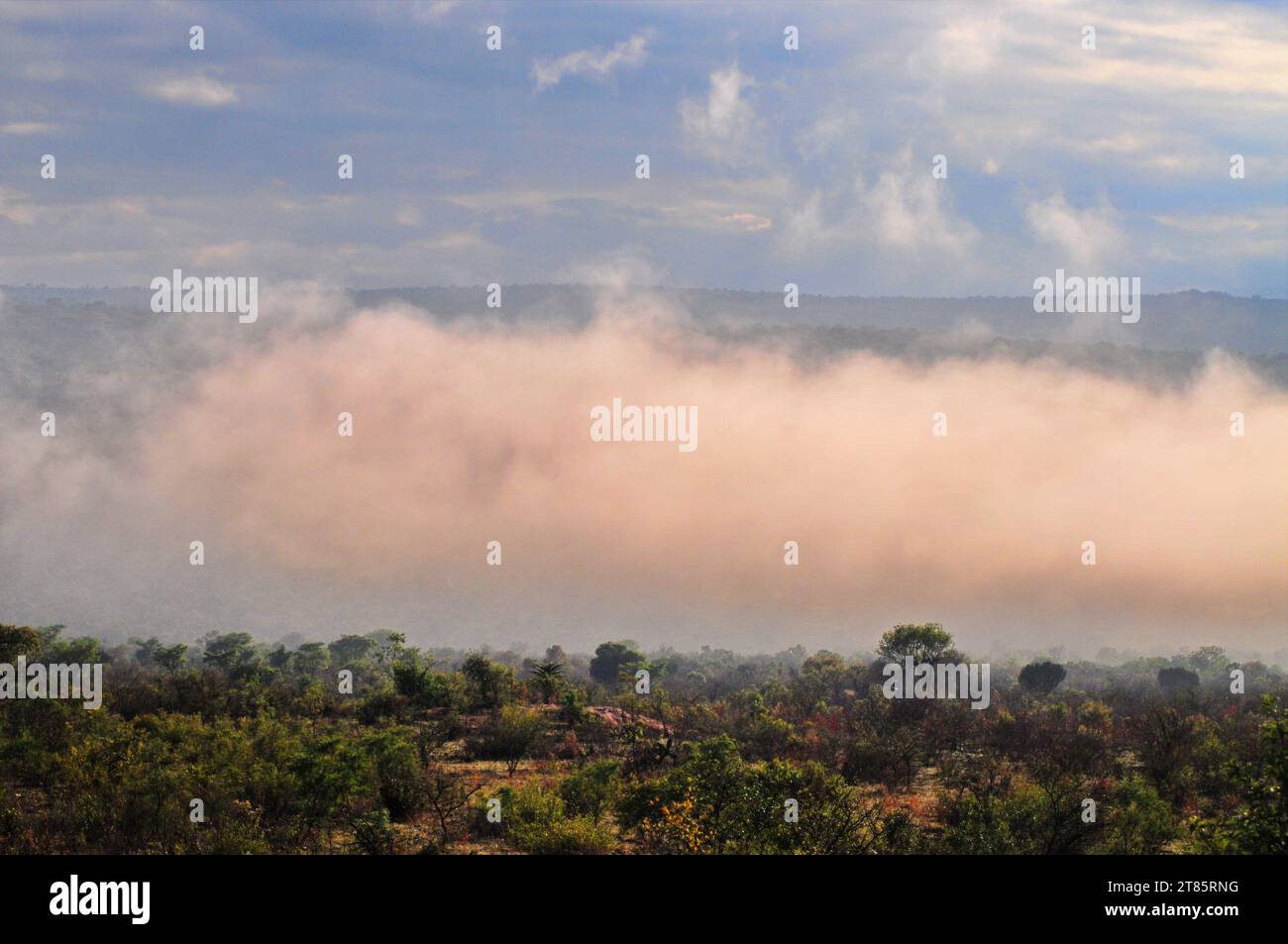 As the world battles climate change mist covers Maja village on the ...