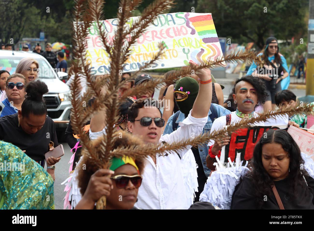 Marcha Por Los Derechos Transgenero Quito Sabado 18 De Noviembre Del