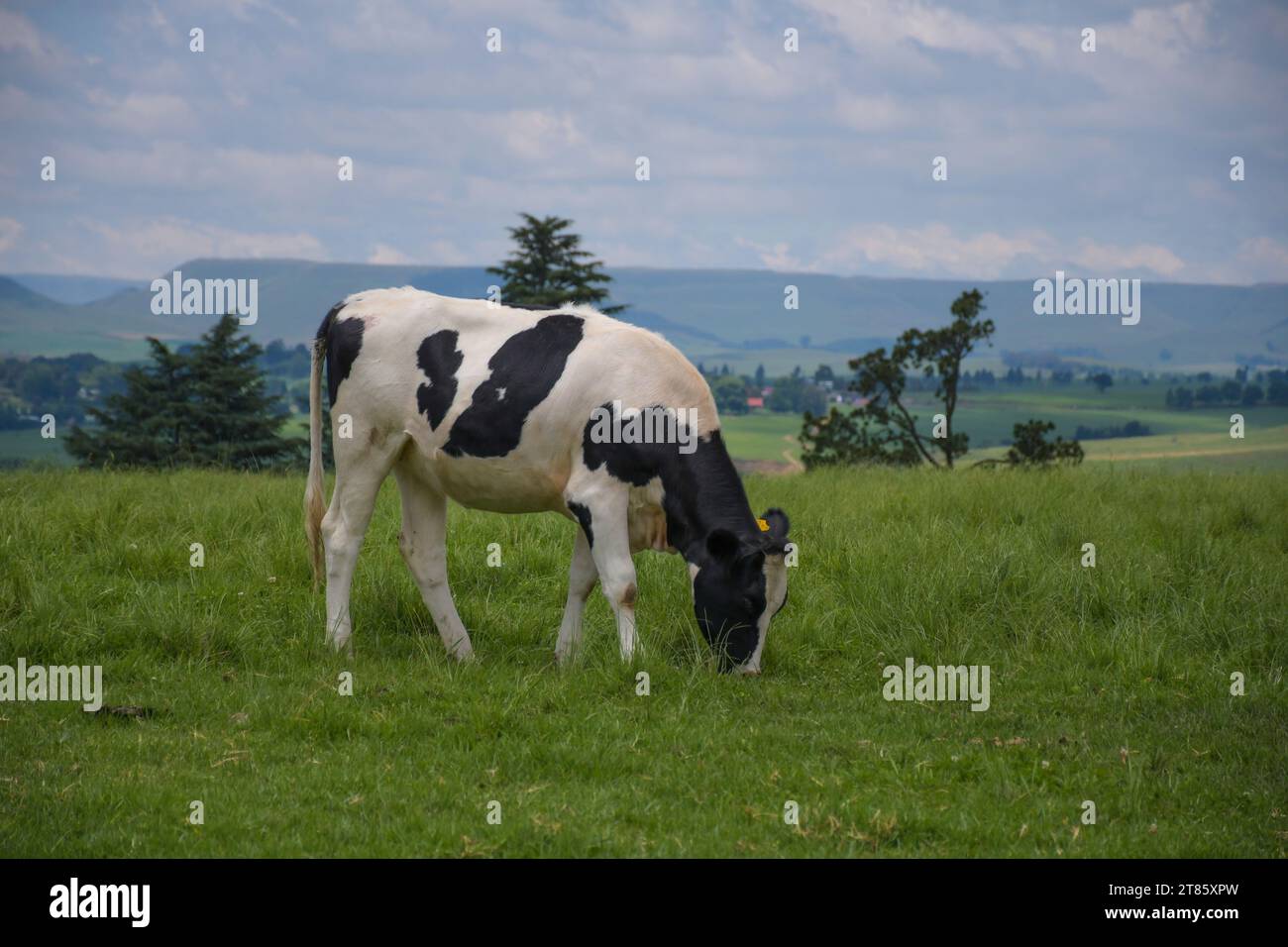 Midlands meander landscape in Kwazulu natal kzn south africa Stock ...