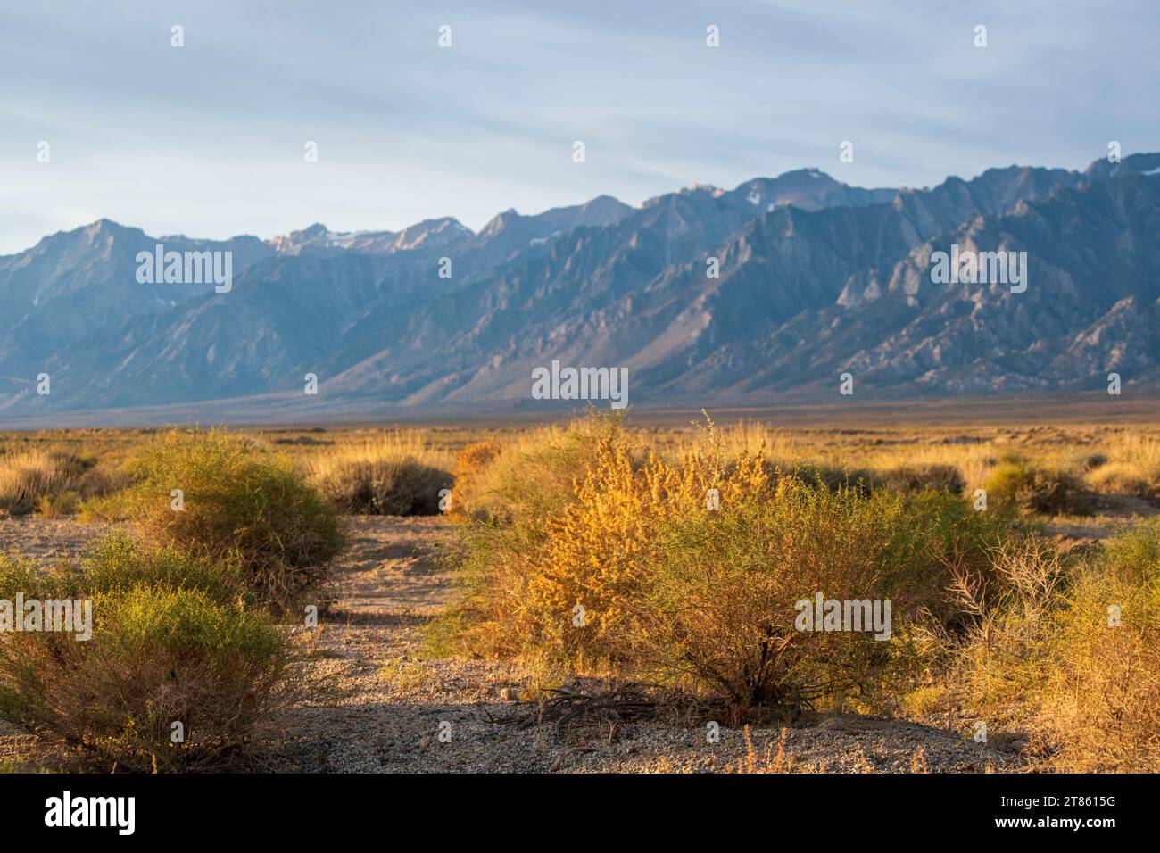 The Eastern Sierra in Inyo County, CA, is a jagged and majestic sight ...