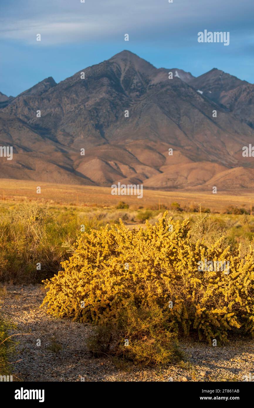 The Eastern Sierra in Inyo County, CA, is a jagged and majestic sight ...