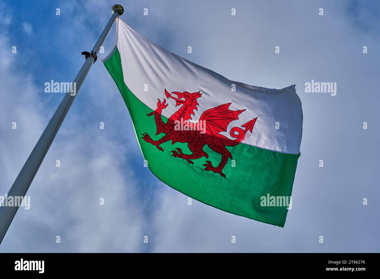 The Welsh Flag flying at the quayside at Portmeirion, Gwynedd, Wales ...