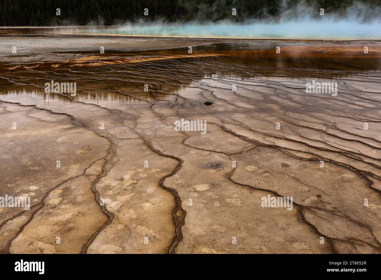 close up of drainage pattern from geothermal hot springs which leave ...