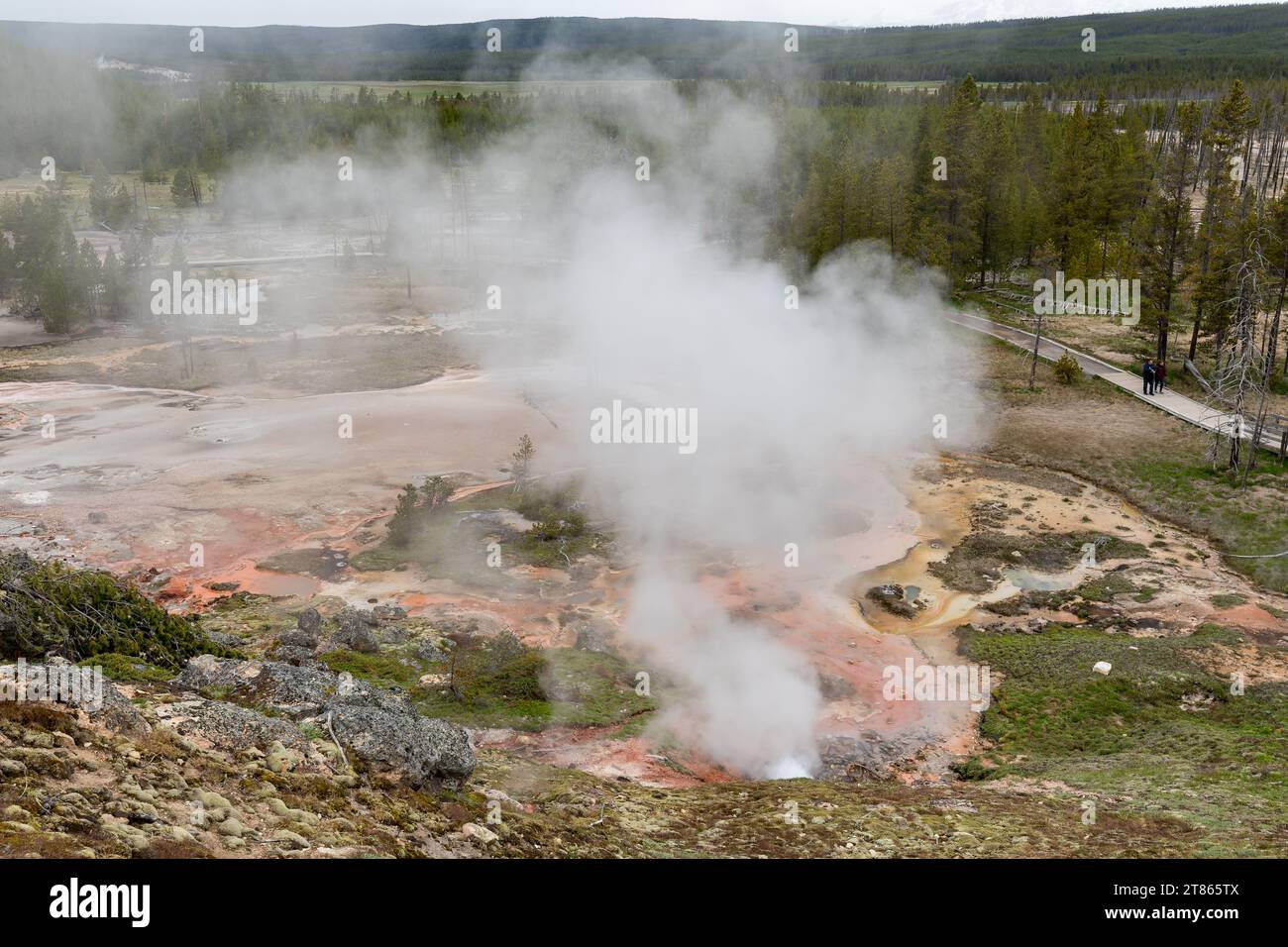 Steam rises into the forest surrounding geothermal hot spring pool and ...
