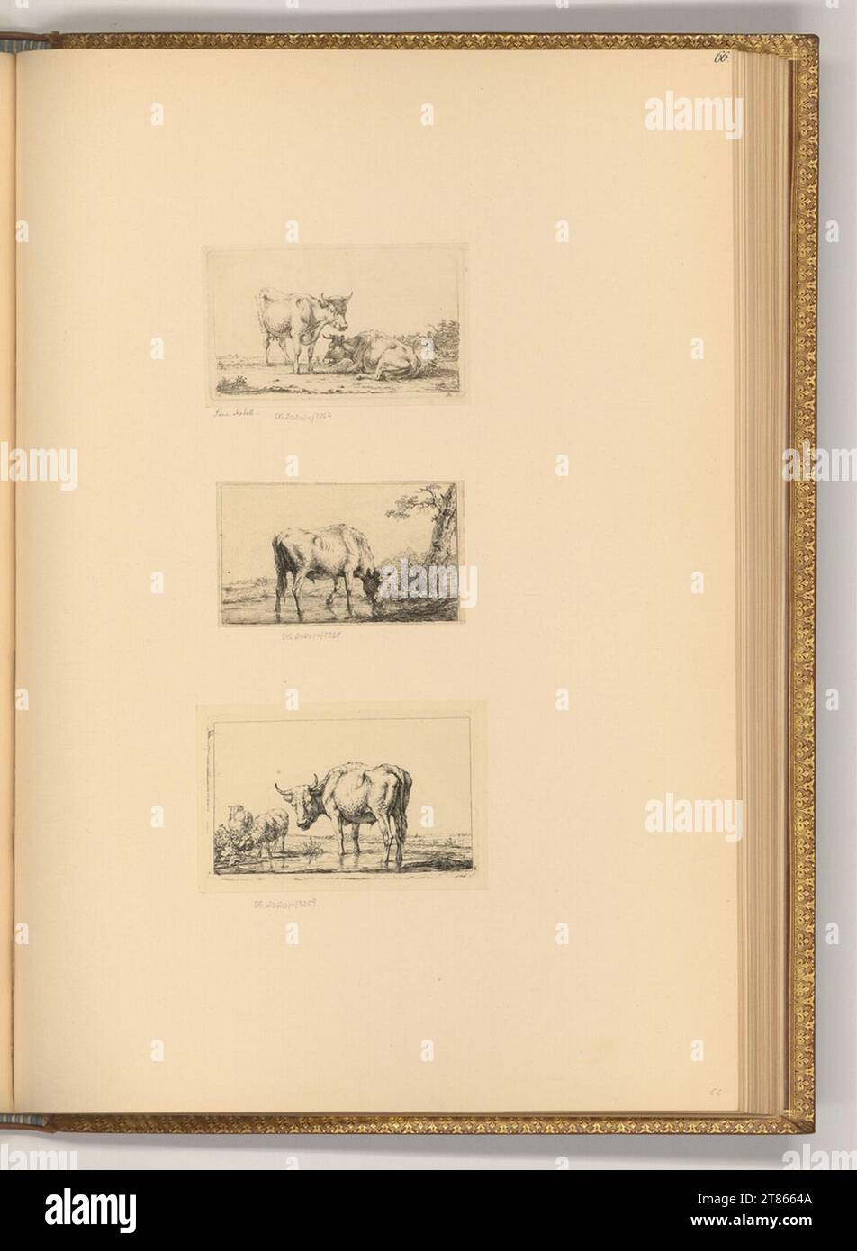 Jan Kobell (II) (II) Grazing cattle and sheep. etching 1793-1814 , 1793 ...