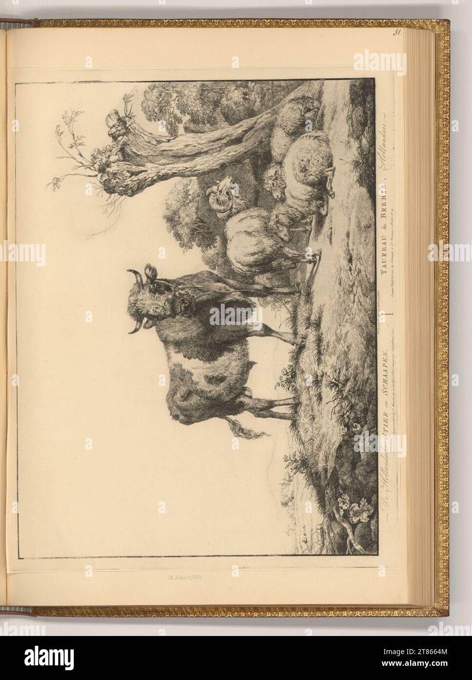 Pieter Gerardus van Os (Engraver) A bull and three sheep. etching 1803 ...
