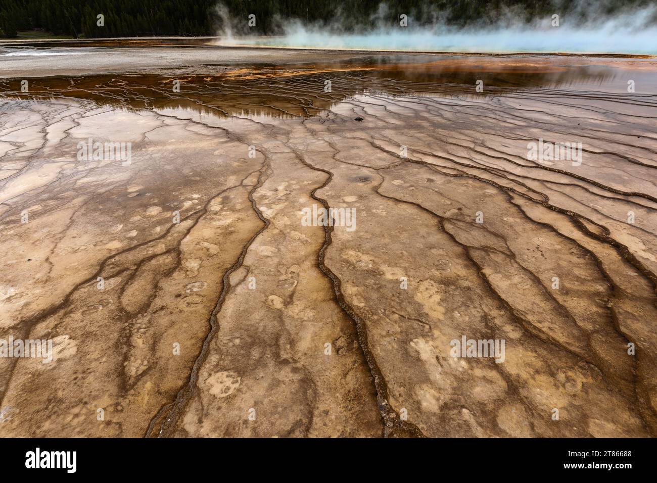 close up of drainage pattern from geothermal hot springs which leave ...