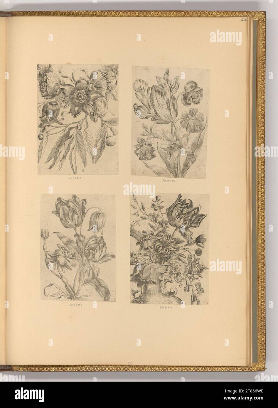Jan Davidsz de Heem Flowers. etching 1653 , 1653 Stock Photo - Alamy