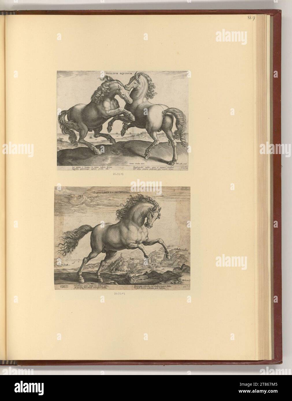 Hendrick Goltzius (Engraver) Horses. Copper engraving print around 1580 ...