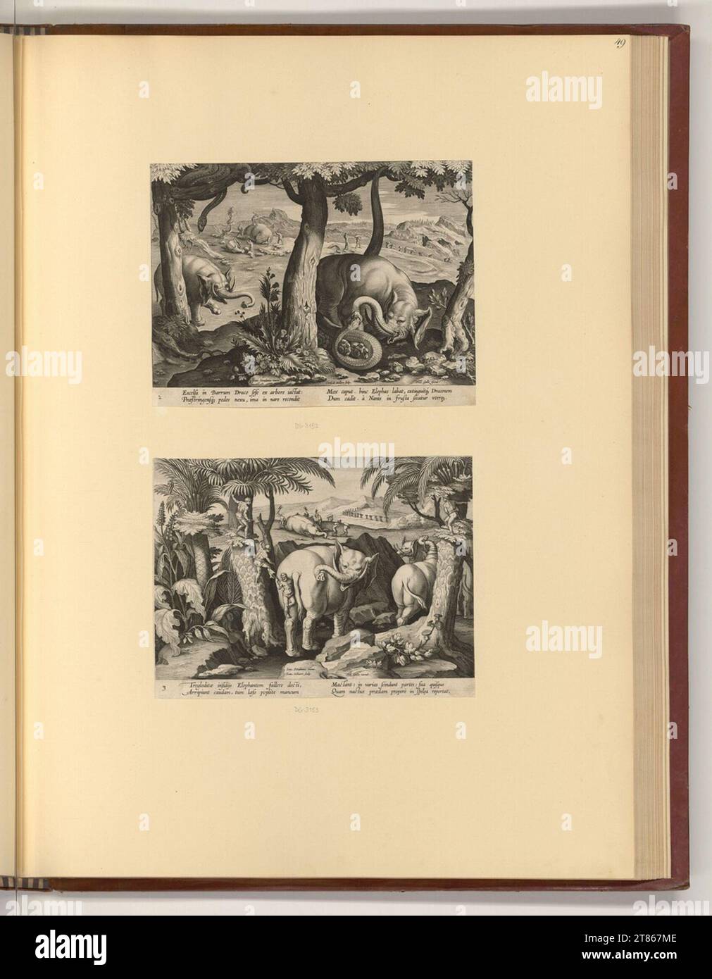 Karel van Mallery (Engraver) Fight between elephant and snake; Elephant ...