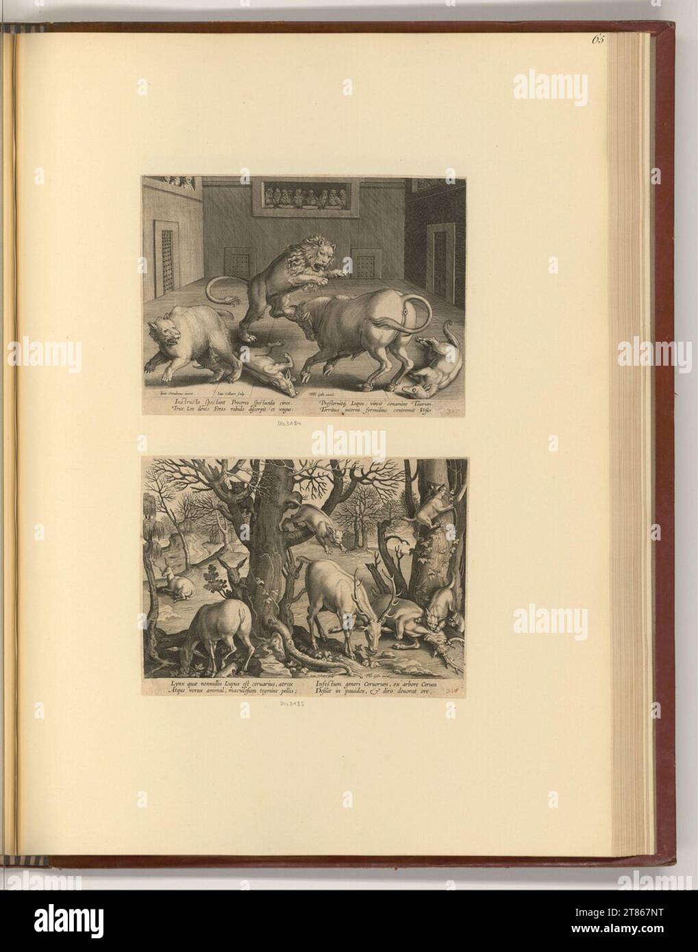 Jan Collaert der Jüngere (Engraver) Animal fights in the arena; Foxes ...