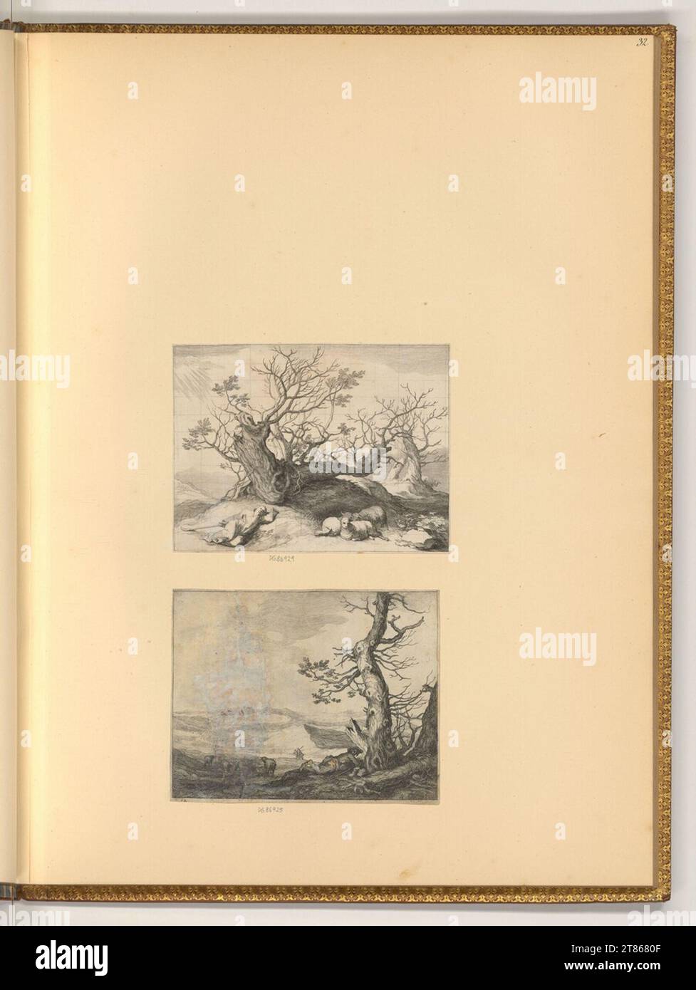 Frederick Bloemaert (Engraver) Root trees. etching around 1635 Stock ...