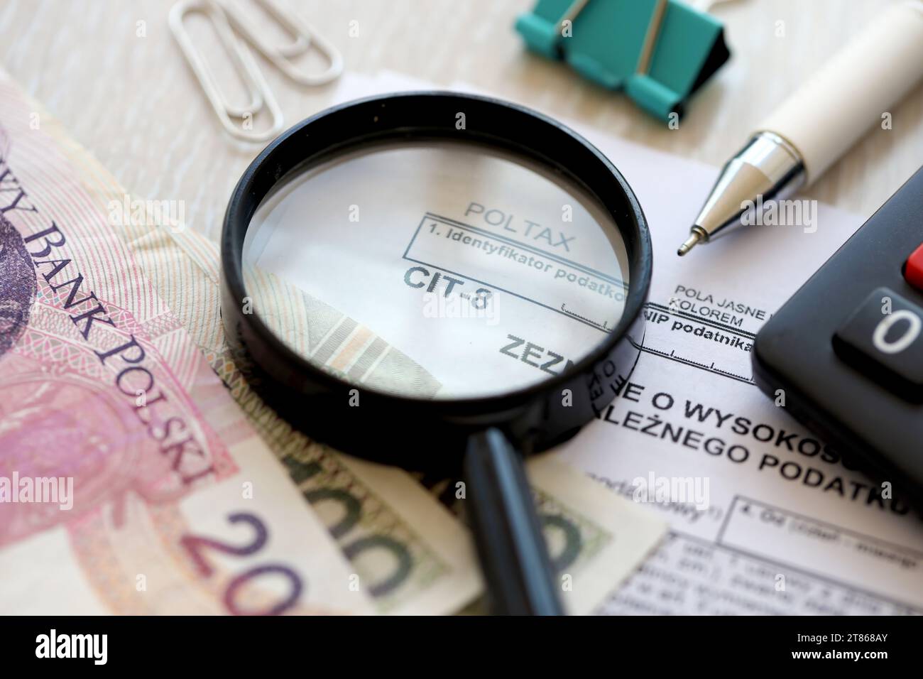 Declaration of the amount of earned income or incurred loss and ...