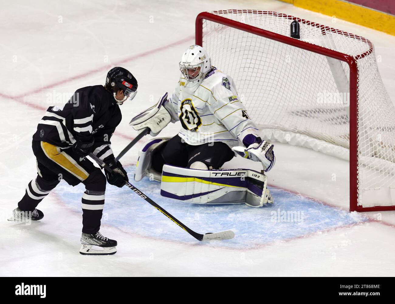 Nottingham Panthers' Didrik Henbrant takes on Manchester Storm ...