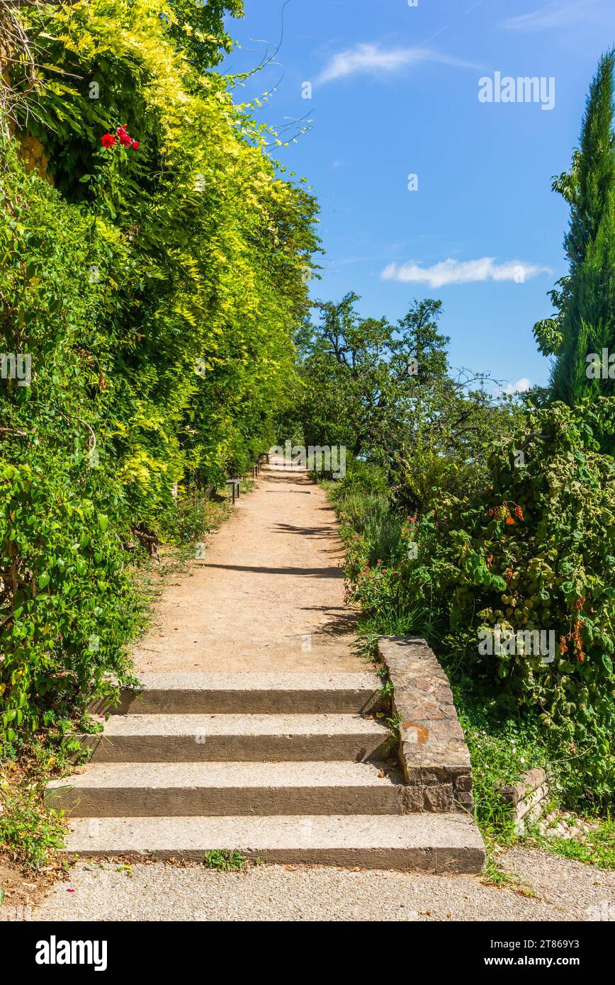 Views and lines in a green park in Lyon, France Stock Photo - Alamy