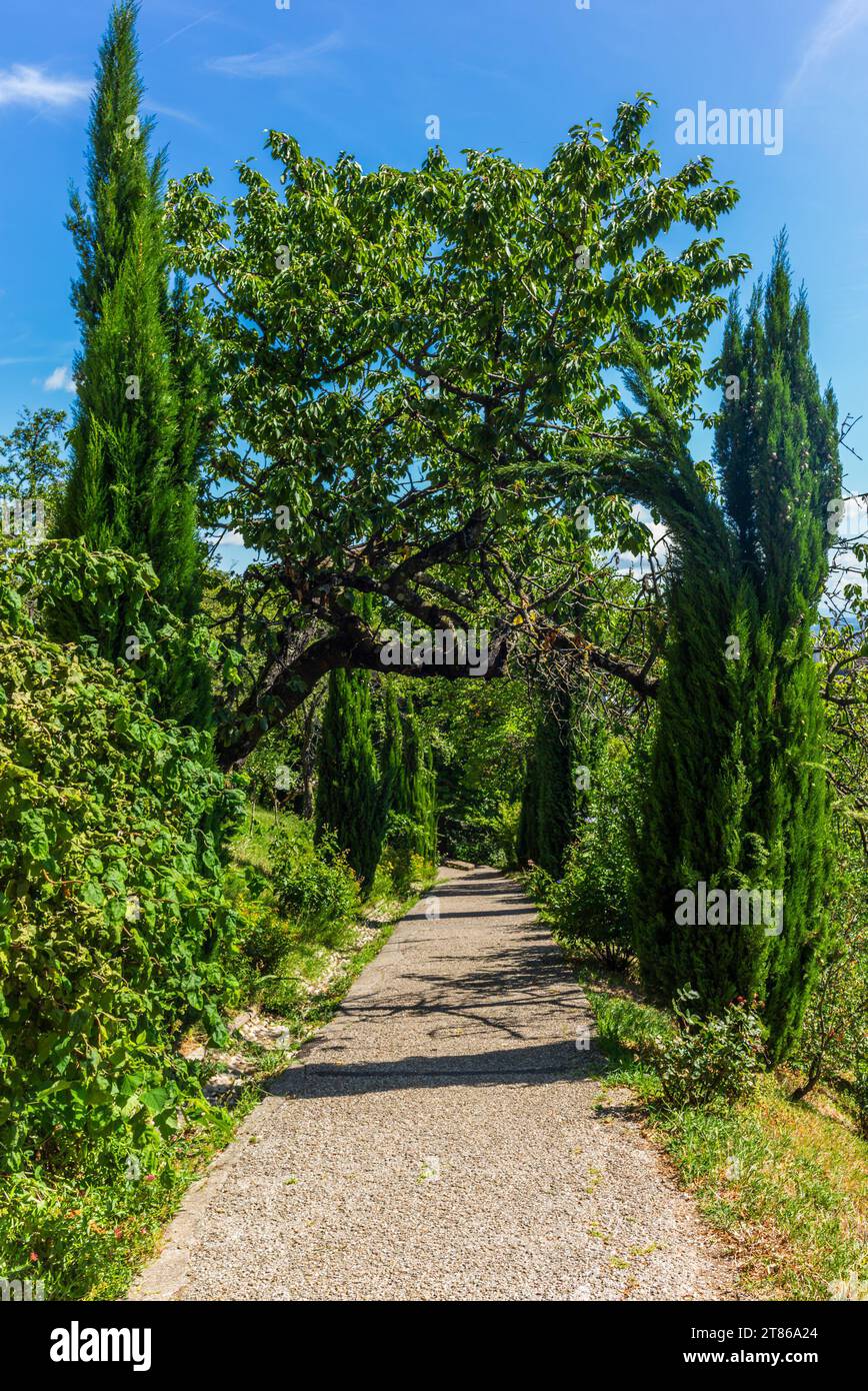 Views and lines in a green park in Lyon, France Stock Photo - Alamy
