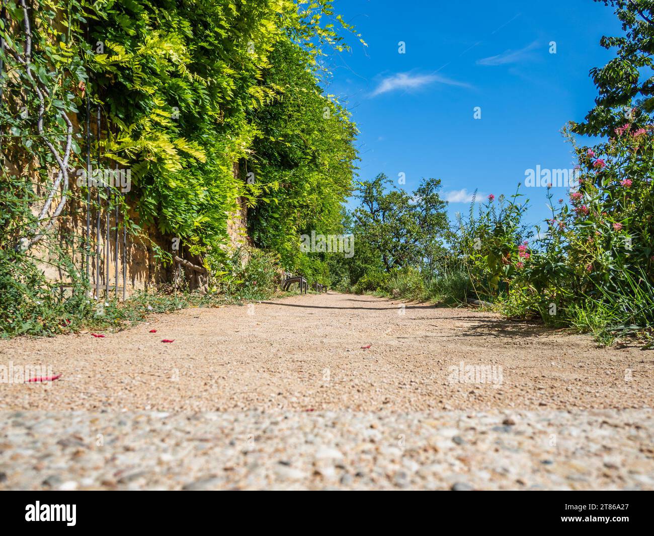 Views and lines in a green park in Lyon, France Stock Photo - Alamy