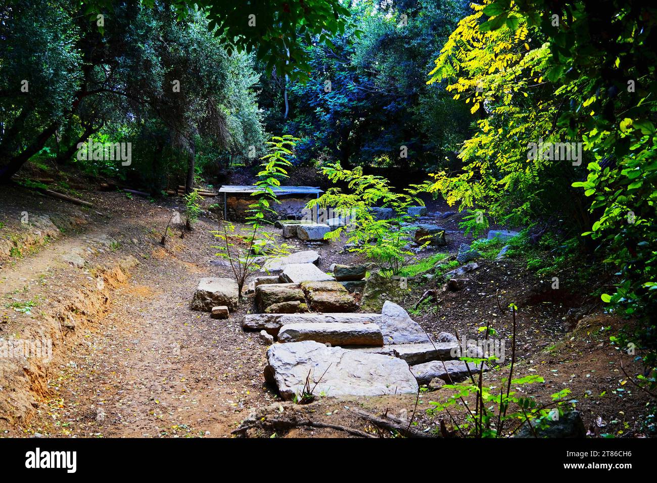 Ancient stones in Plato’s Academy, in Athens, Greece Stock Photo - Alamy