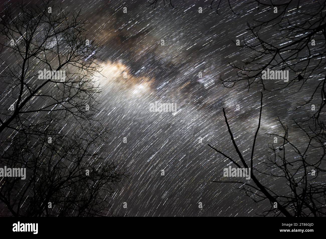 Composite of three pictures of the starry night over the Amazon Forest ...