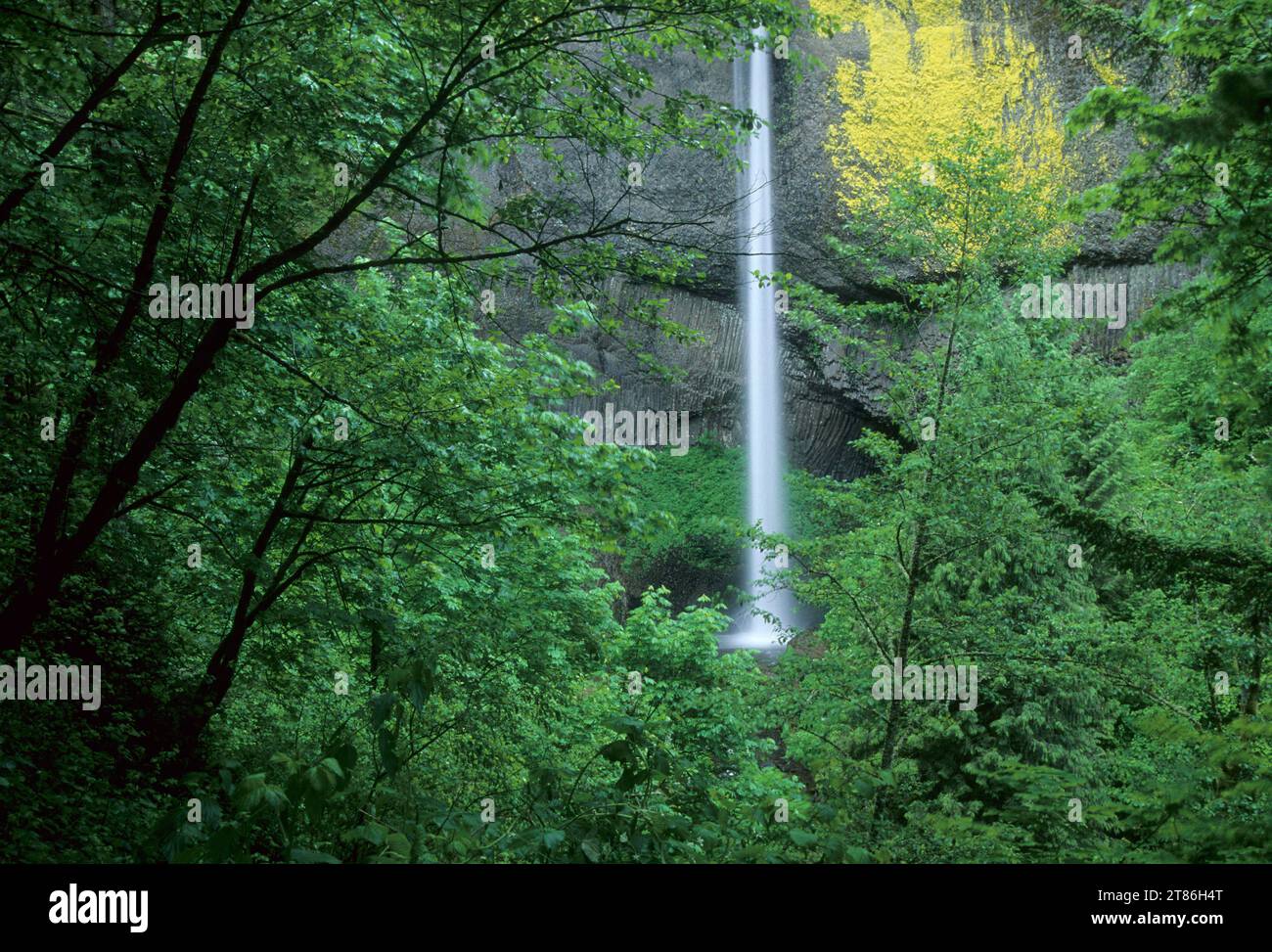 Talbot state park hi-res stock photography and images - Alamy