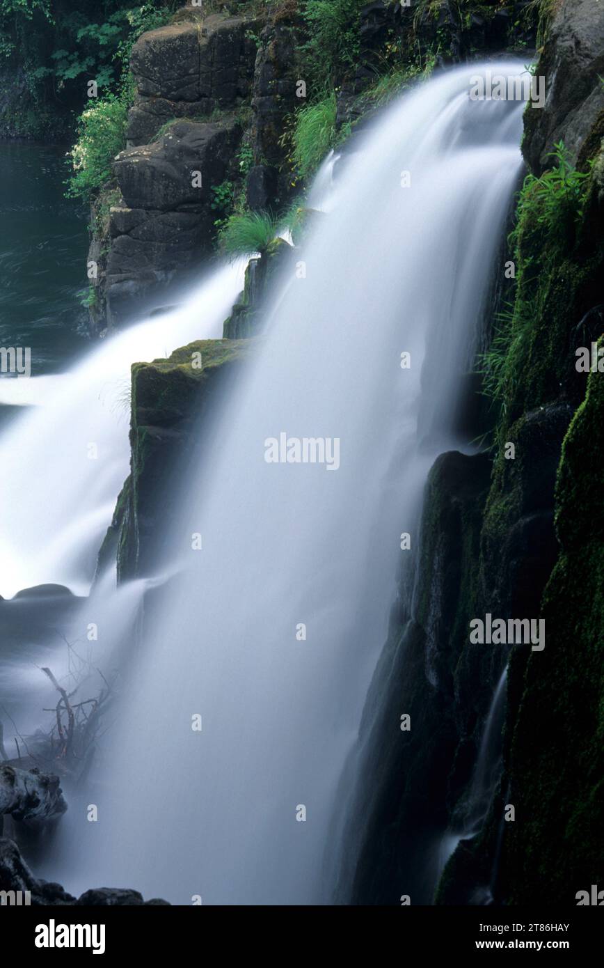 Falls City Falls, Falls City, Oregon Stock Photo - Alamy