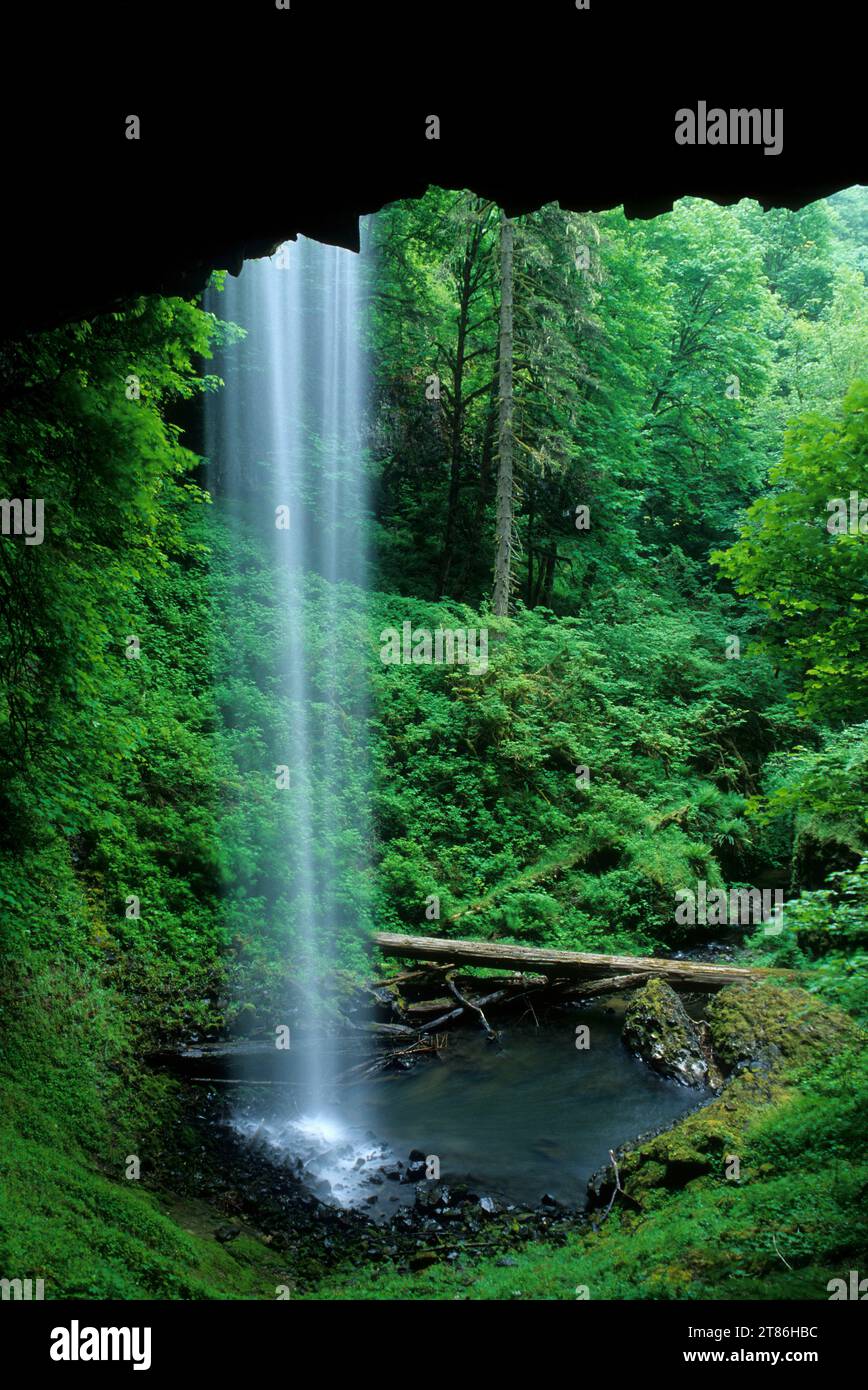 Shellburg Falls, Santiam State Forest, Oregon Stock Photo - Alamy
