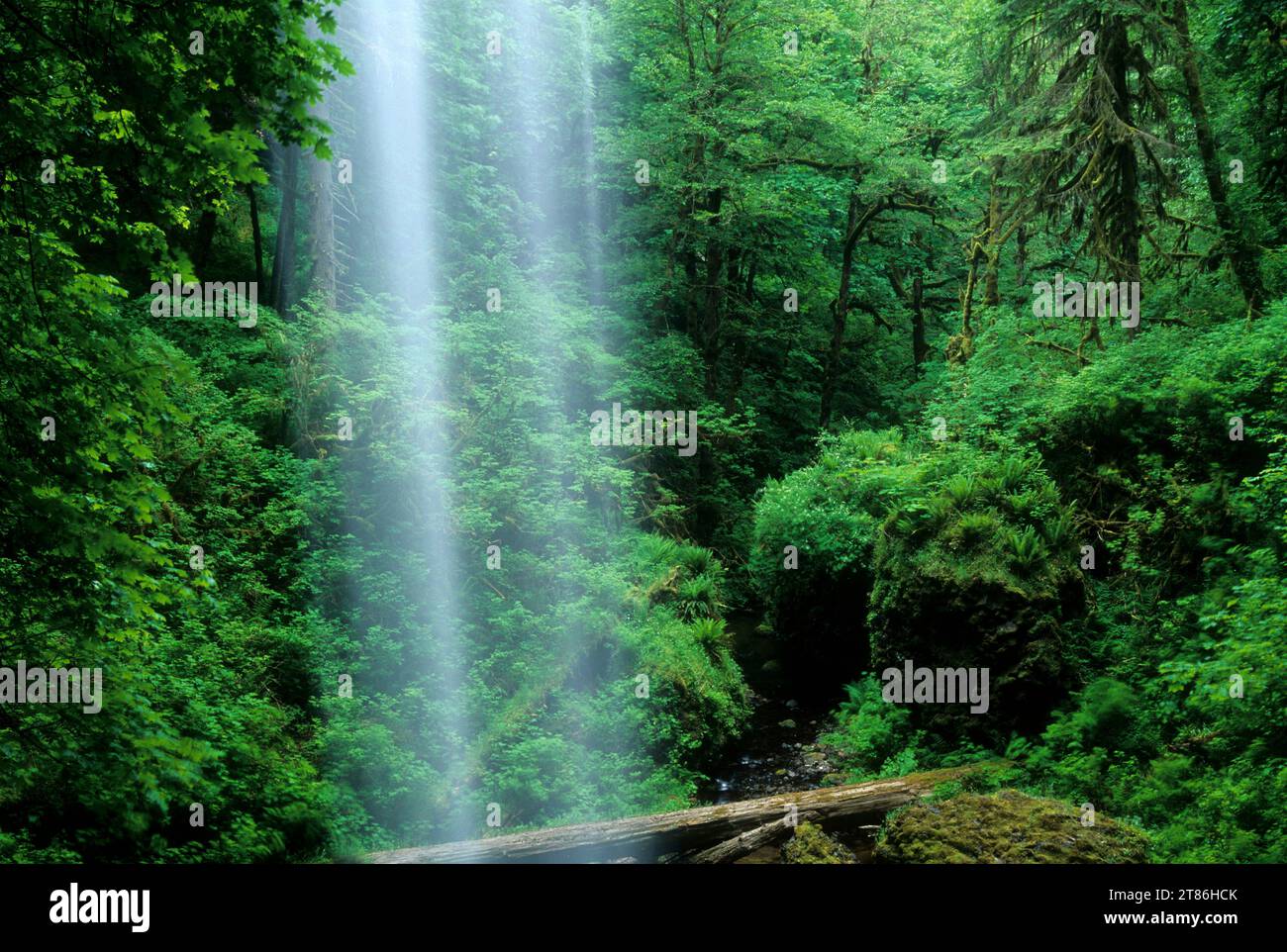 Shellburg Falls, Santiam State Forest, Oregon Stock Photo - Alamy