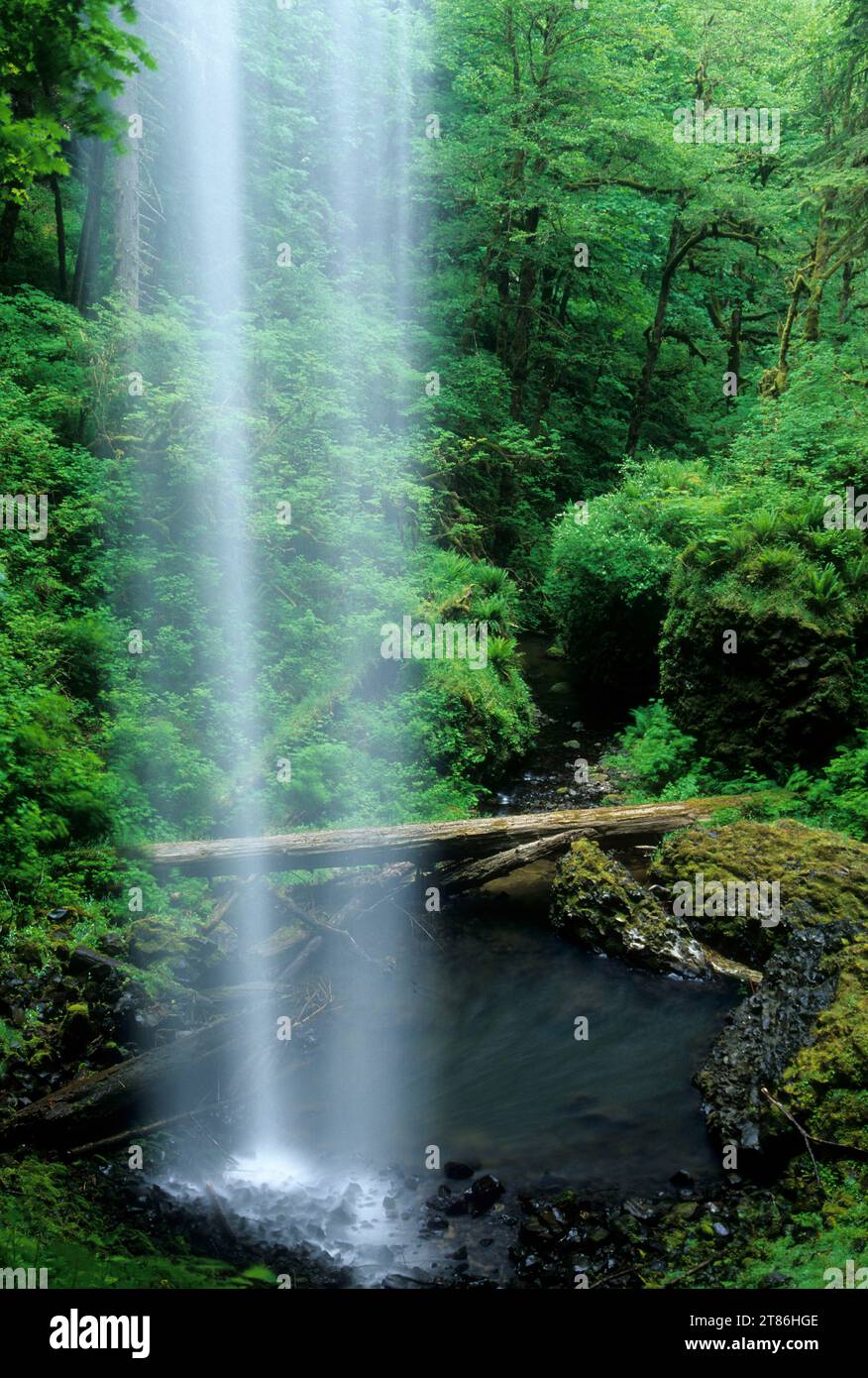 Shellburg Falls, Santiam State Forest, Oregon Stock Photo - Alamy