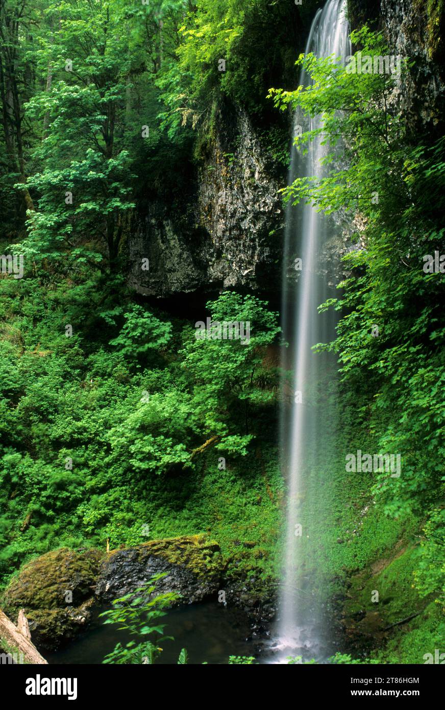 Shellburg Falls, Santiam State Forest, Oregon Stock Photo - Alamy