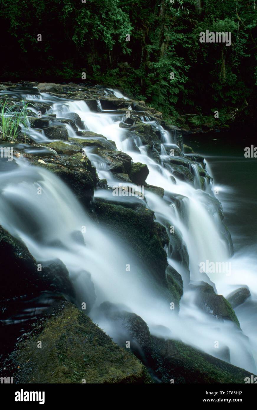 Little Beaver Creek Falls, Columbia County, Oregon Stock Photo - Alamy