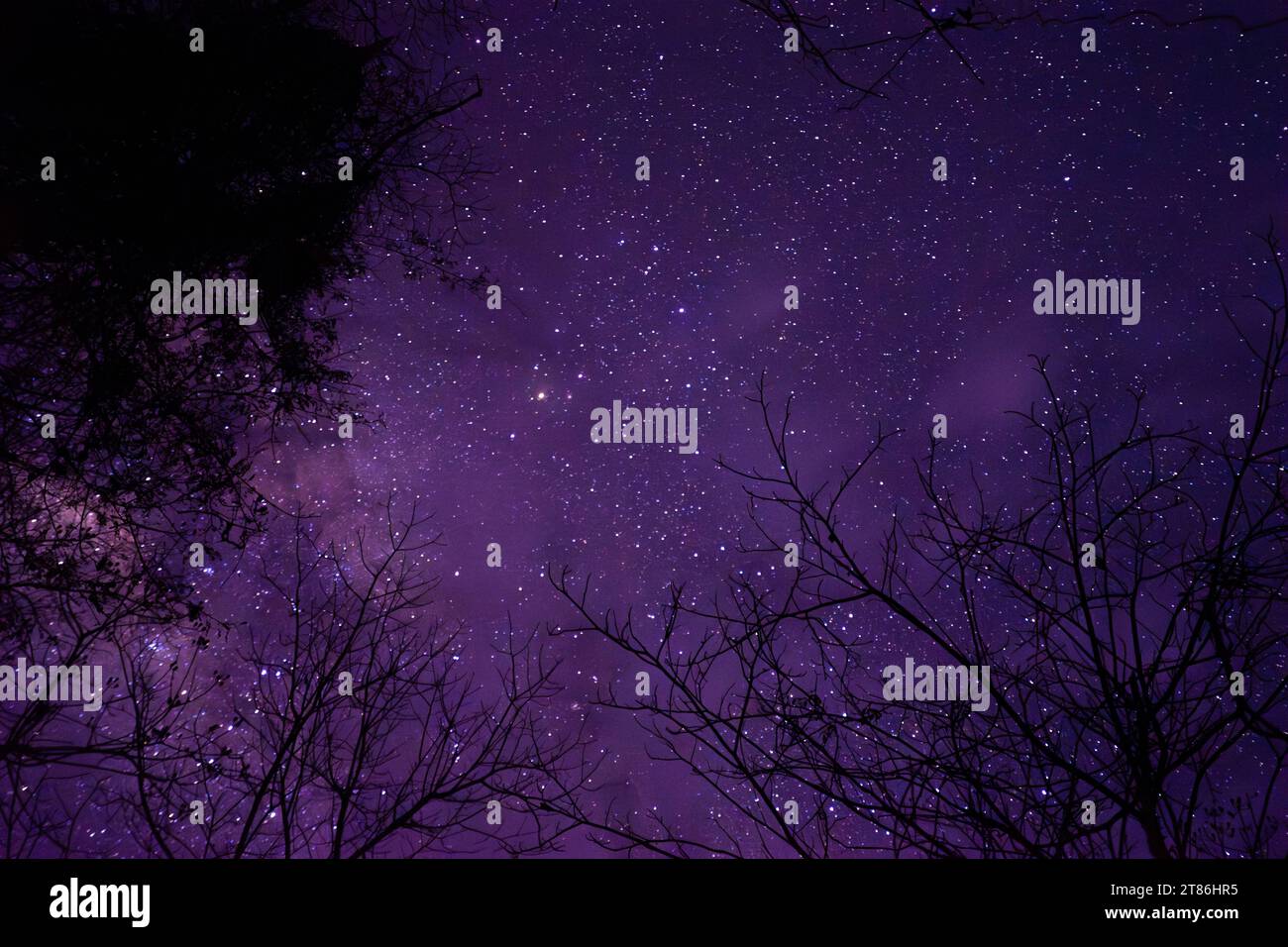 Pictures serie of the starry night over the Amazon Forest in Mato ...