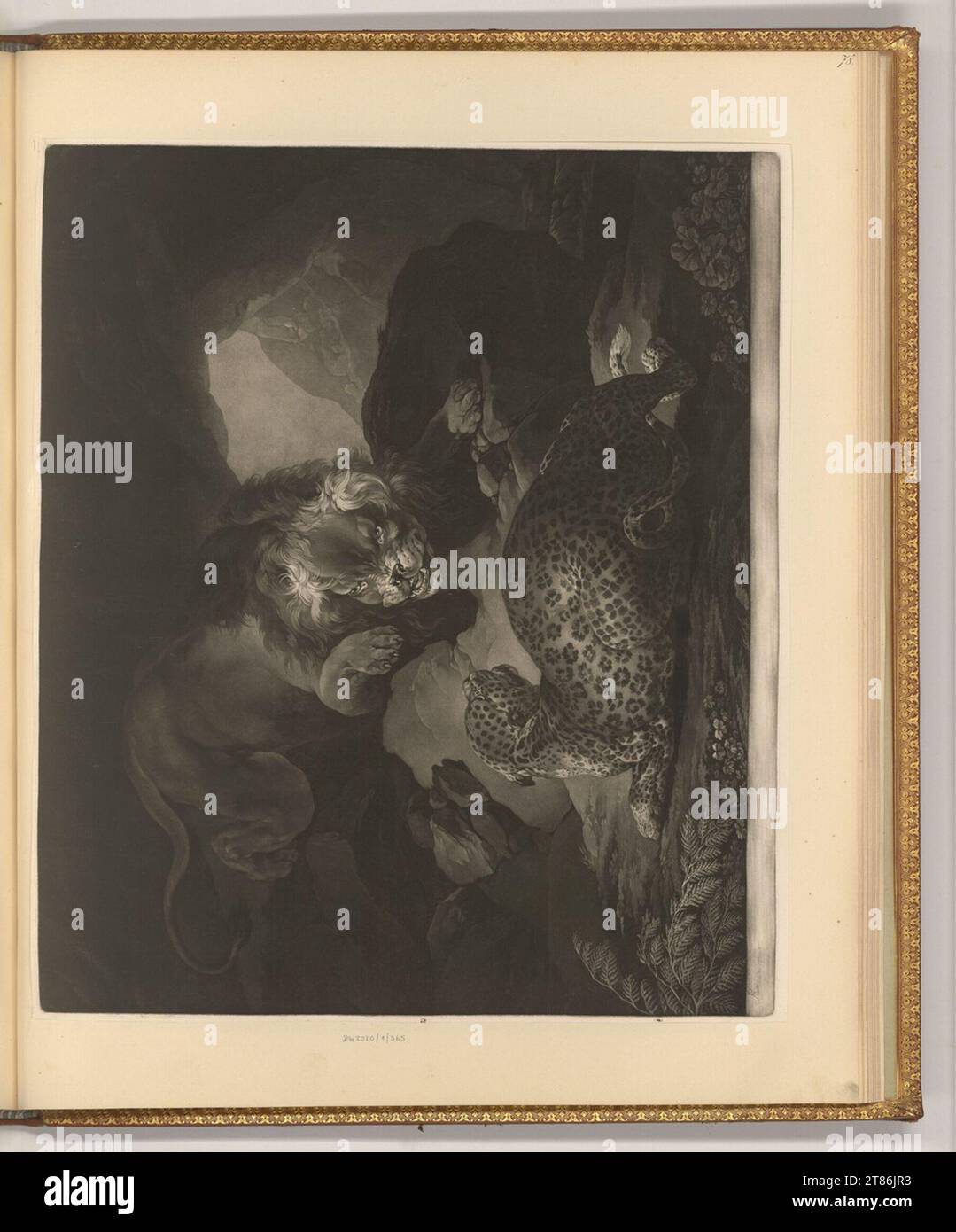 Vincenz Georg Kininger (Engraver) Lion and a leopard. Skiing around ...