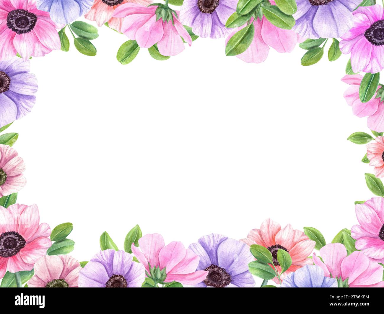 Rectangle frame with anemone, greenery. Spring flowers and green leaves ...
