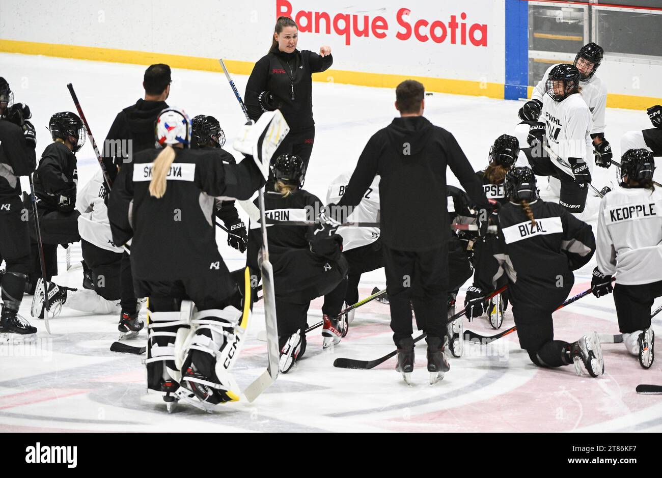 Montreal, Canada. 18th Nov, 2023. November 18, 2023, Montreal, PQ ...