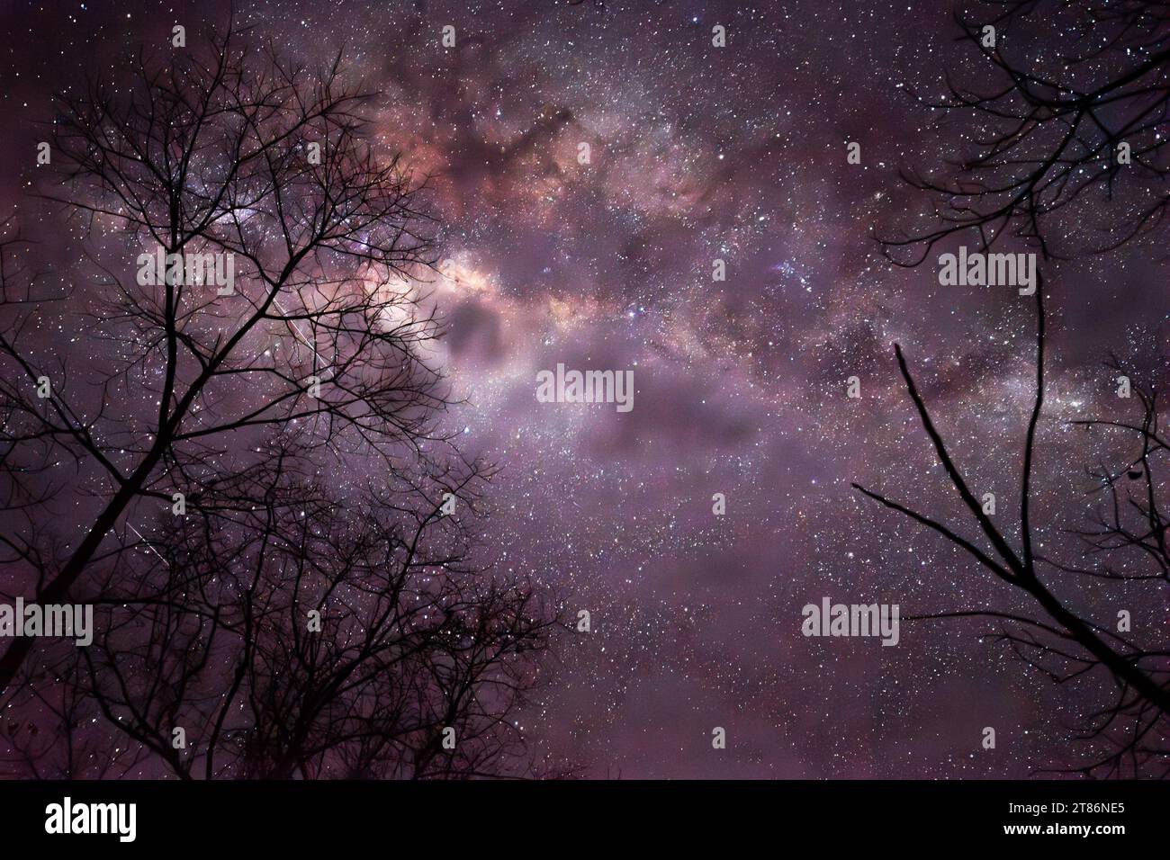 Pictures serie of the starry night over the Amazon Forest in Mato ...