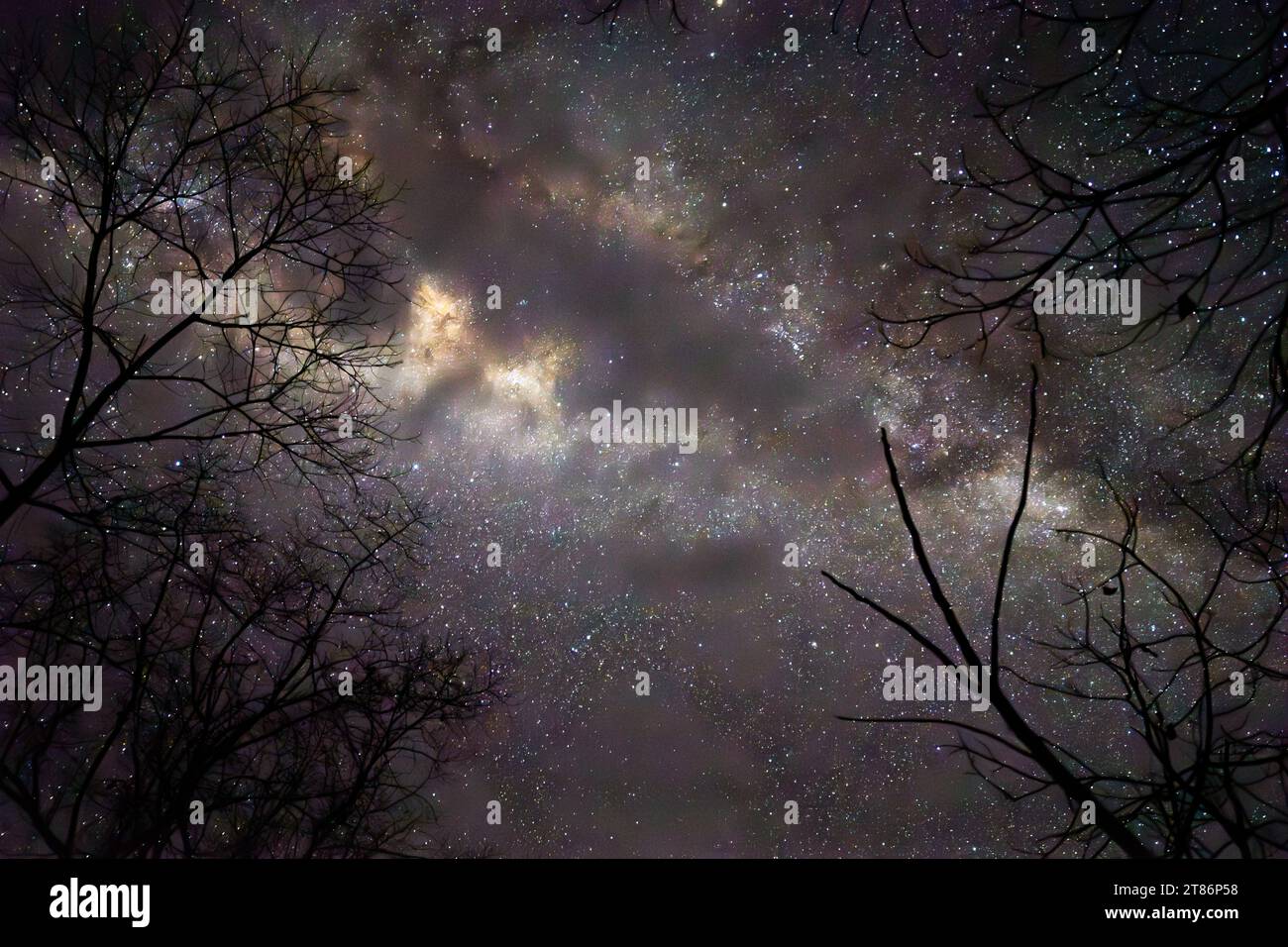 Pictures serie of the starry night over the Amazon Forest in Mato ...