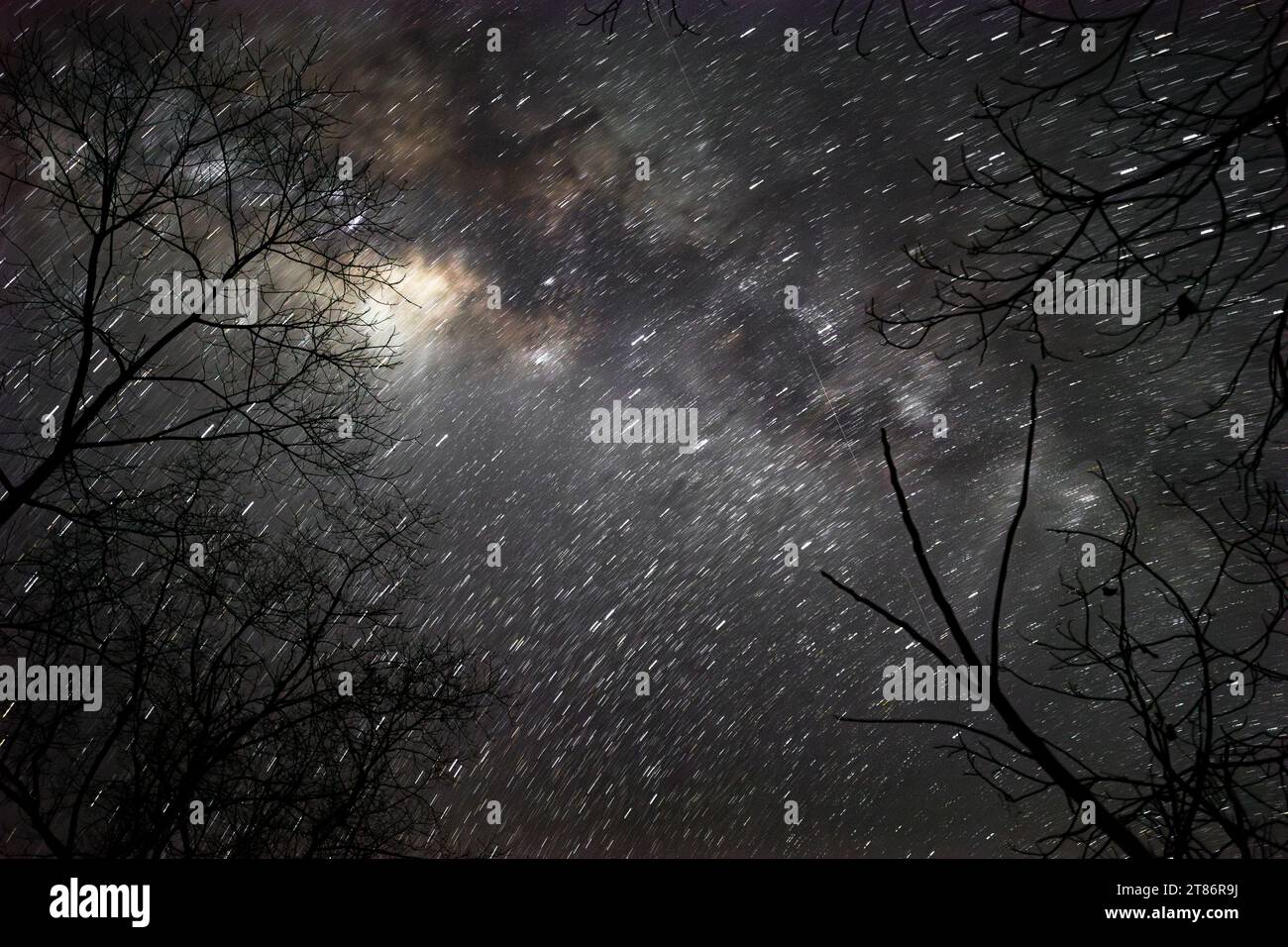 Pictures serie of the starry night over the Amazon Forest in Mato ...