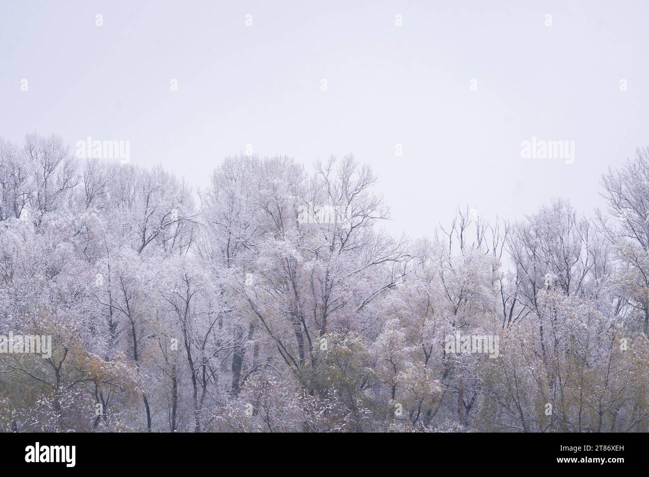 Warsaw landmarks in different weather hi-res stock photography and ...