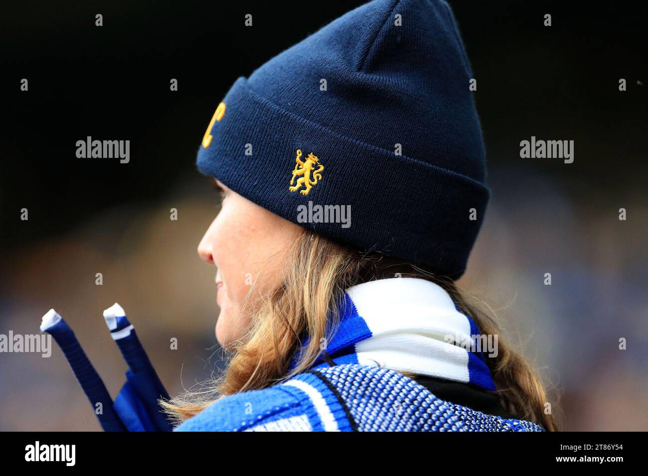 Chelsea crest hi-res stock photography and images - Alamy