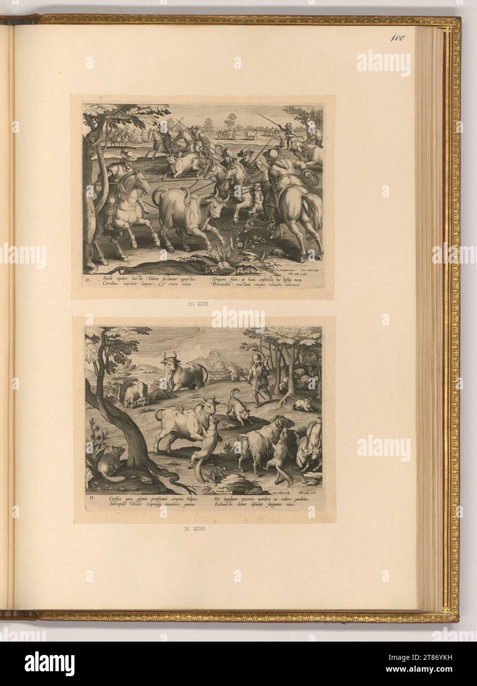 Jan Collaert der Jüngere (Engraver) Bull hunt. Copper engraving print ...