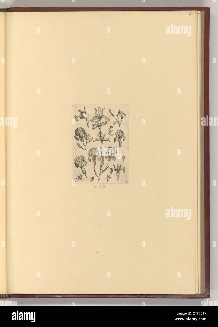 Adriaen Collaert (An der Entstehung Beteiligte r) Iris. Copper ...