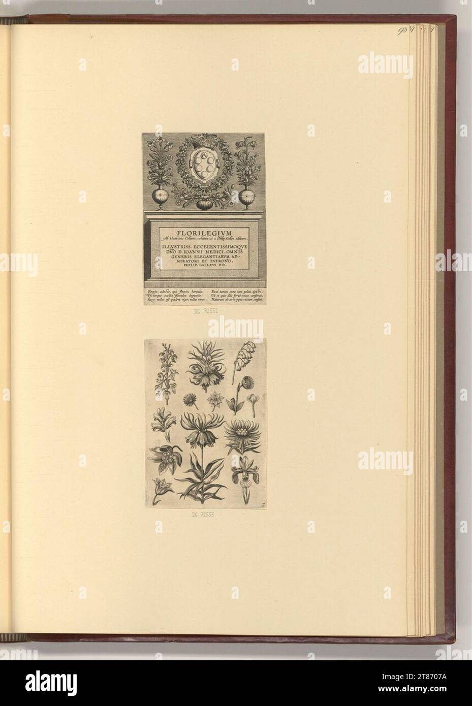 Medici family coat of arms hi-res stock photography and images - Alamy